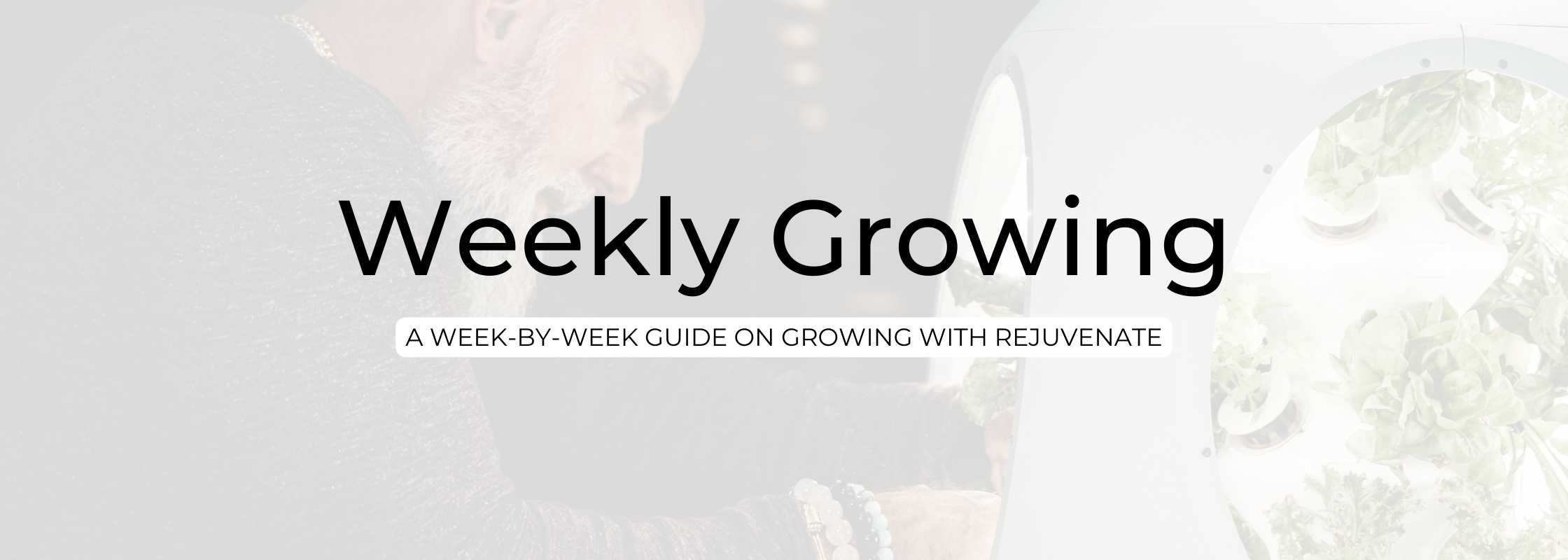 A Week-by-Week Guide on Growing with Plantaform's Rejuvenate