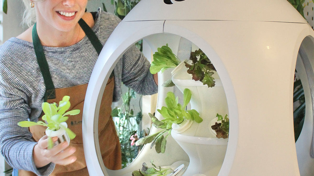 The Advantages of Smart Indoor Gardening Systems – Plantaform
